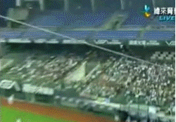 Baseball Catch | Best Funny Gifs Updated Daily