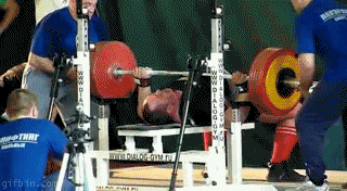 Bench Press Oops | Best Funny Gifs Updated Daily