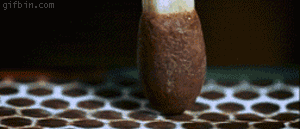 Match lighting in super slow-motion - Full screen | Best Funny Gifs And ...