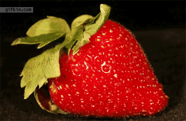 Time-lapse Strawberry Rotting | Best Funny Gifs Updated Daily