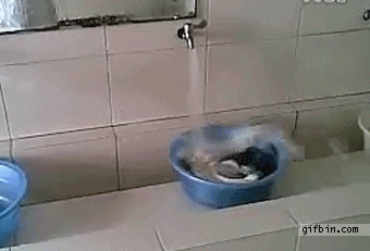 DIY Washing Machine | Best Funny Gifs Updated Daily