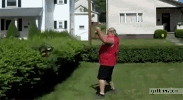 Trimming The Bushes With A Chainsaw | Best Funny Gifs Updated Daily