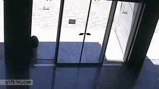 Glass Sliding Door Fail | Best Funny Gifs Updated Daily