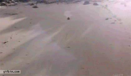 Epic Bodyboard Beach Slide | Best Funny Gifs Updated Daily