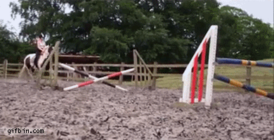 Horse Jumping Fail | Best Funny Gifs Updated Daily