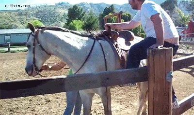 Getting On The Horse Fail | Best Funny Gifs Updated Daily