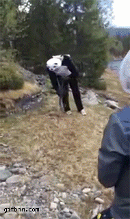 Spinning Panda Chicken Game Fail | Best Funny Gifs Updated Daily