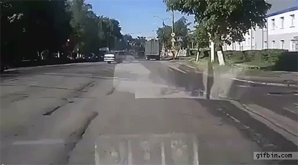 Moose Jumps Over Car In Traffic | Best Funny Gifs Updated Daily