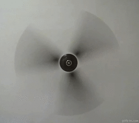 Spinning Ceiling Fan | Best Funny Gifs Updated Daily