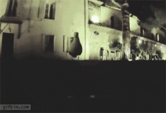 Seagull Steals GoPro Camera | Best Funny Gifs Updated Daily