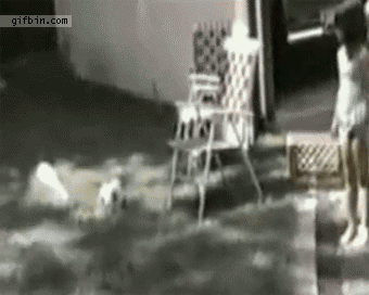 Girl Slip N' Slide Fail | Best Funny Gifs Updated Daily