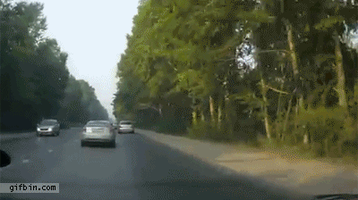 Mercedes-Benz Takes Down Tree | Best Funny Gifs Updated Daily