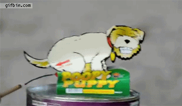 Pooping Dog Fireworks | Best Funny Gifs Updated Daily