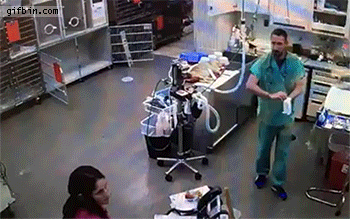 Veterinarian Slaps Himself In The Face With Rubber Glove | Best Funny ...