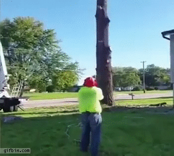 Tree Cutting Fail | Best Funny Gifs Updated Daily