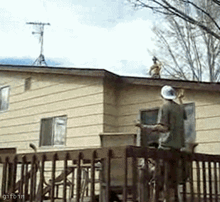 Rooftop Diving | Best Funny Gifs Updated Daily