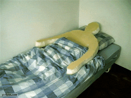 Today Is The Day | Best Funny Gifs Updated Daily