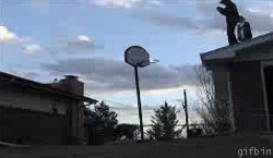 Rooftop Dunk | Best Funny Gifs Updated Daily