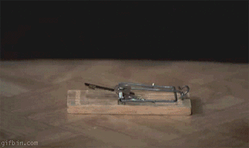 Slo-mo Egg Vs. Mouse Trap | Best Funny Gifs Updated Daily