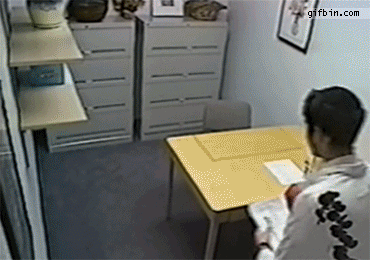 Shelf Fail | Best Funny Gifs Updated Daily