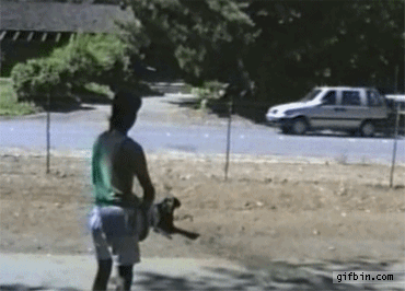 Epic Fetch Jump In The River | Best Funny Gifs Updated Daily