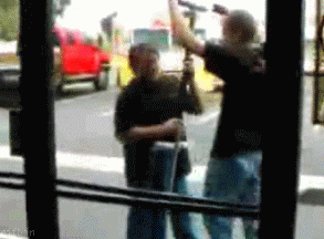 Pogo Nutshot | Best Funny Gifs Updated Daily