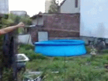Rooftop Pool Jump | Best Funny Gifs Updated Daily
