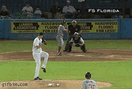 Baseball Fight | Best Funny Gifs Updated Daily