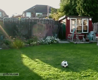 Kid's Power Kick | Best Funny Gifs Updated Daily