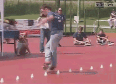 Cone Slalom Skating | Best Funny Gifs Updated Daily