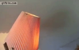 Mantis Fly Swatter | Best Funny Gifs Updated Daily