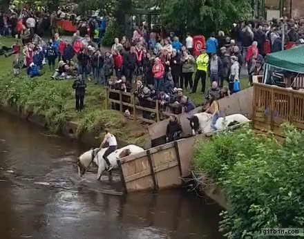 Girl Flies Off Jumping Horse | Best Funny Gifs Updated Daily