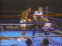 Boxing Fail | Best Funny Gifs Updated Daily