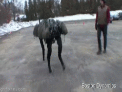 Big Dog Robot Balance Demonstration | Best Funny Gifs Updated Daily