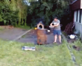 Extloding Garbage | Best Funny Gifs Updated Daily