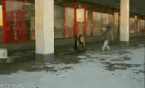 Kick And Fall | Best Funny Gifs Updated Daily