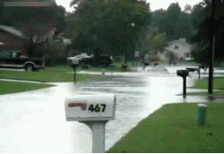 Amphibious Car | Best Funny Gifs Updated Daily