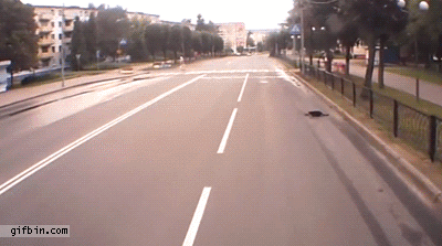 Cat Vs. Car | Best Funny Gifs Updated Daily
