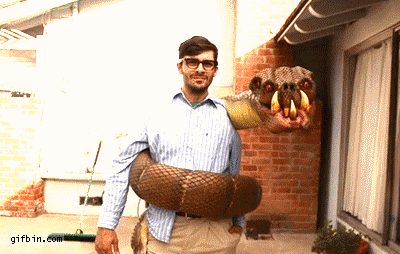 Snake Attack Costume | Best Funny Gifs Updated Daily
