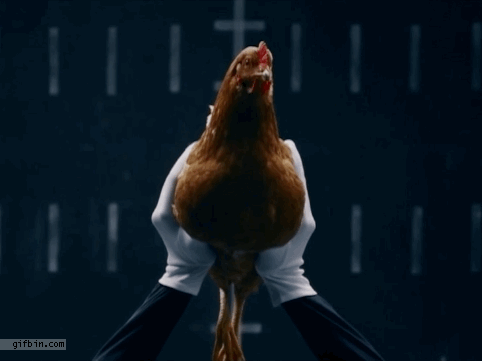 Gyroscopic Chicken Head | Best Funny Gifs Updated Daily