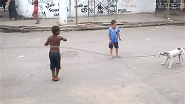 Dog Plays Jump Rope With Kids | Best Funny Gifs Updated Daily