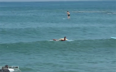 Surfing Backflip | Best Funny Gifs Updated Daily