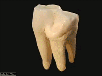 Tooth Magnified To The Atomic Level | Best Funny Gifs Updated Daily