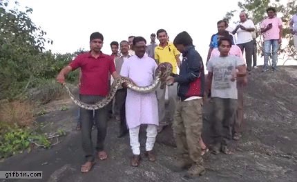 Python Bites Selfie Guy | Best Funny Gifs Updated Daily