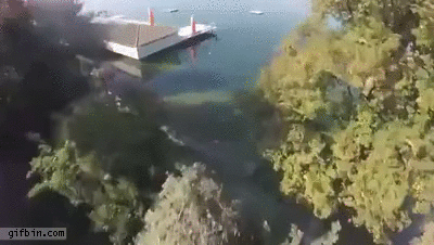 Curious Fish Check Out Crashed Drone | Best Funny Gifs Updated Daily