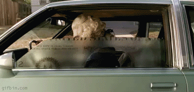Dollar Bill Car Window | Best Funny Gifs Updated Daily