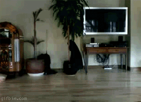 Risky Business Fail | Best Funny Gifs Updated Daily