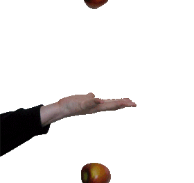 Falling Apple Loop | Best Funny Gifs Updated Daily