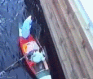 Caught between boats - Full screen | Best Funny Gifs And Animated Gifs ...