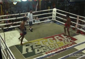 Fighter Falls Out Of The Ring | Best Funny Gifs Updated Daily